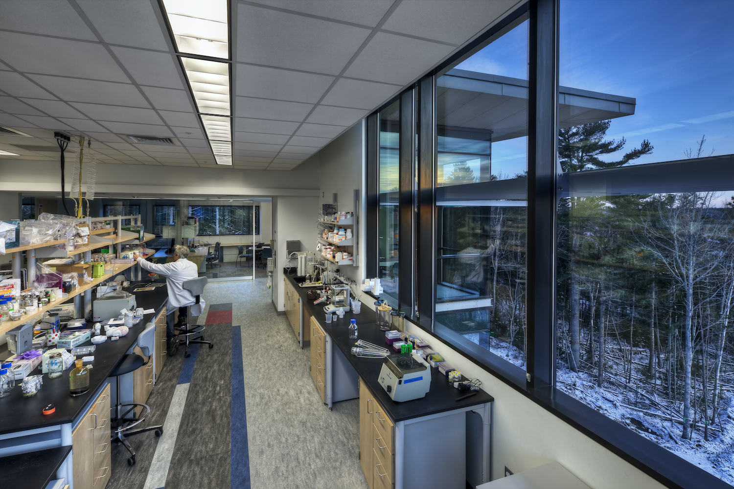 Sea Change - Bigelow Laboratory for Ocean Sciences - Bigelow Laboratory ...