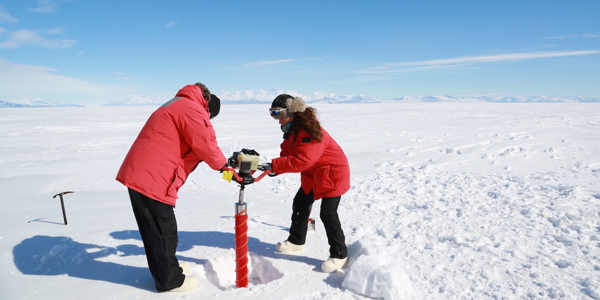 Bigelow Laboratory for Ocean Sciences